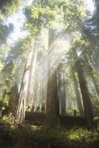 Beliefs Behind People-Pleasing & Overthinking (& Breaking Free ...